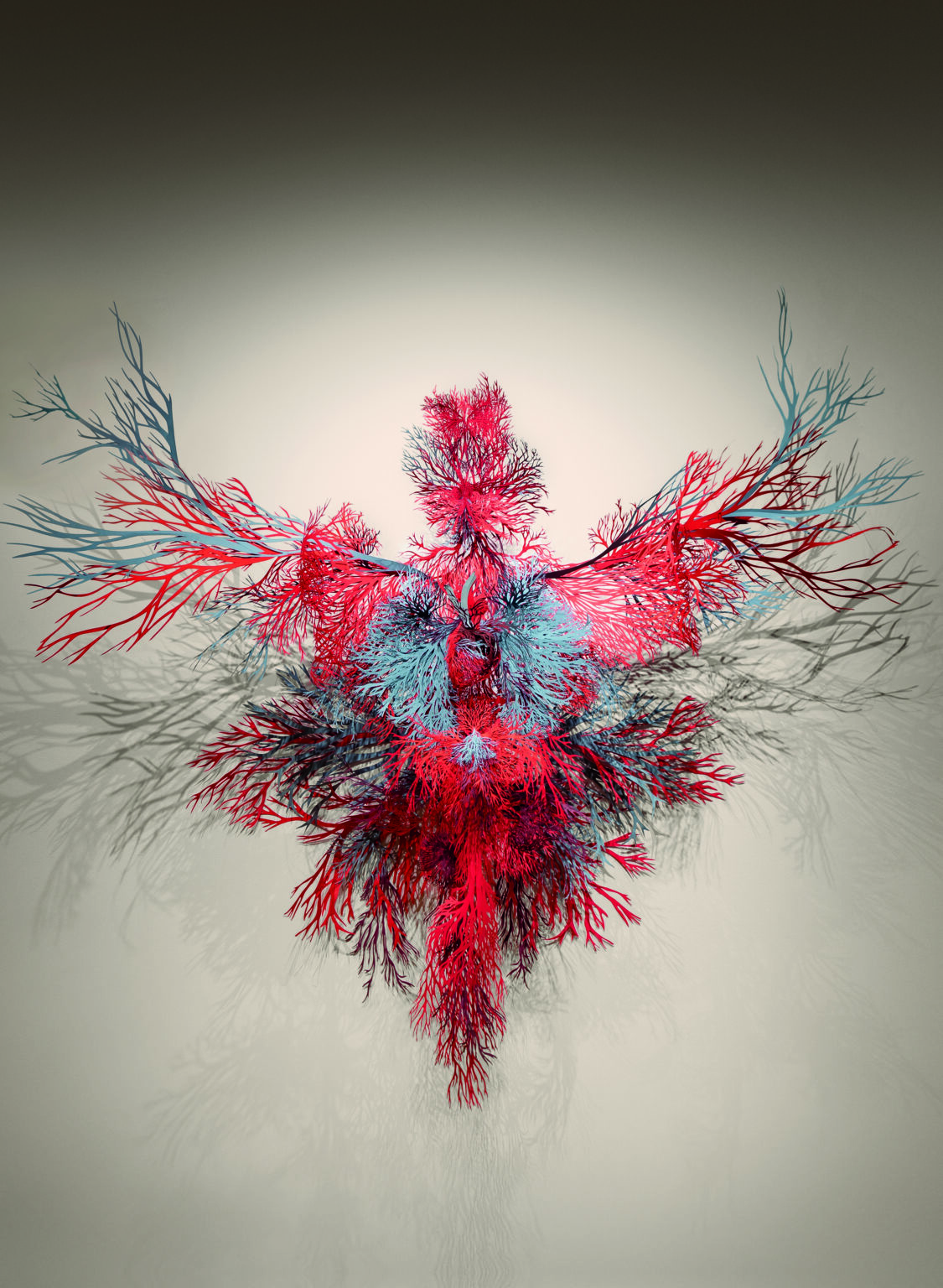 Andy Singleton, Natural connections – [ SPACE ]